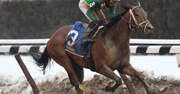 Clothes Fall Off repeats in Correction S. | Cheyenne Stables