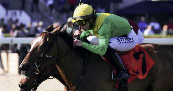 Ozara returns to New York for the $135,000 Chelsey Flower S. | Cheyenne ...