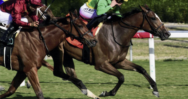 Ozara (IRE) kicks off 2024 campaign in Gulfstream Park’s $125,000 ...